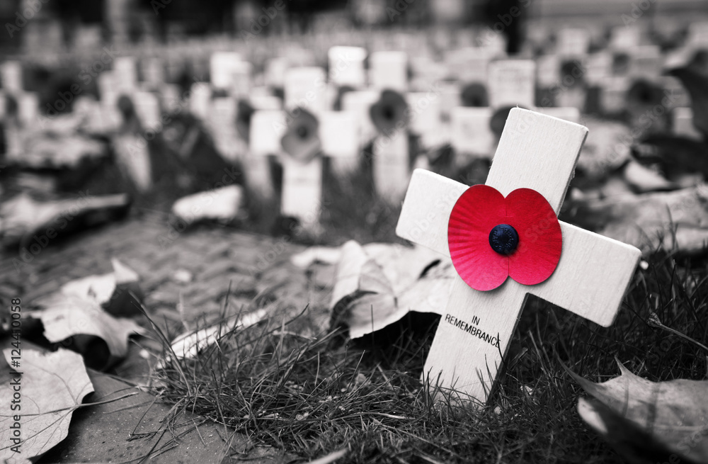 Remembrance day display in Westminster Abbey Stock Photo | Adobe Stock