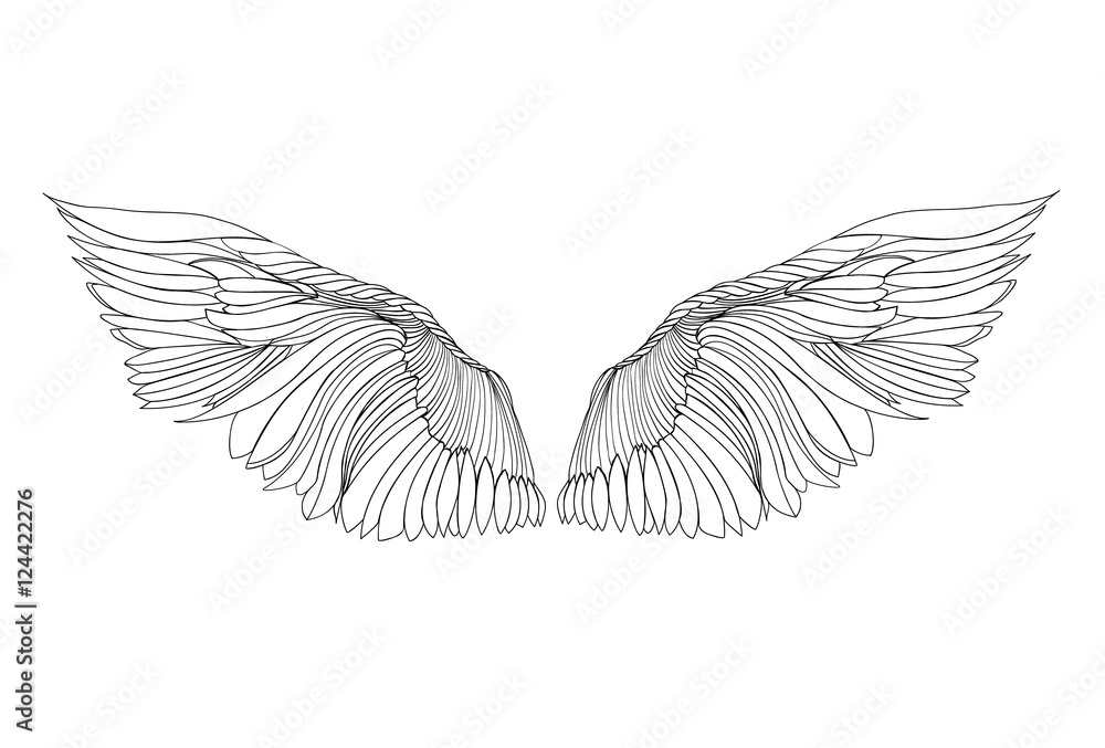 Wings. Vector illustration on white background. Black and white Stock ...