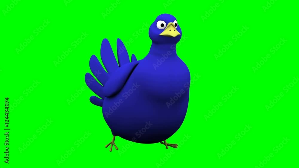 Walking blue bird in different views loop animation on green screen ...