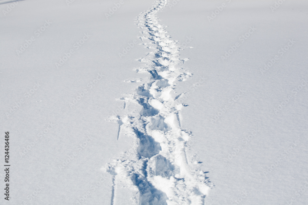 traces de pieds et de ski dans la neige en montagne Stock Photo | Adobe ...