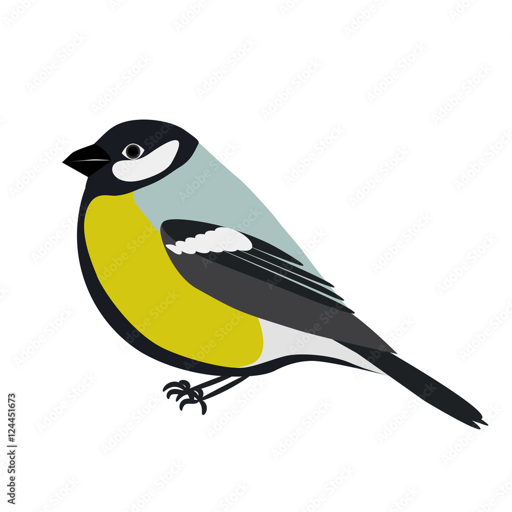Cartoon titmouse vector illustration. Green and blue titmouse bird ...