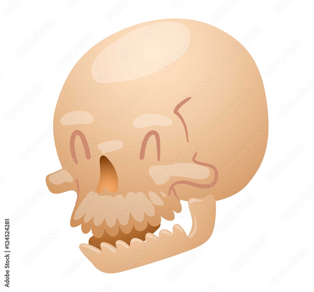 Skull face illustration isolated on white background. Stock Vector ...