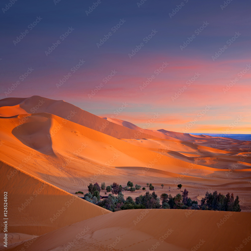 Oasis over sand dunes in Sahara desert in Morocco, Africa Stock Photo ...