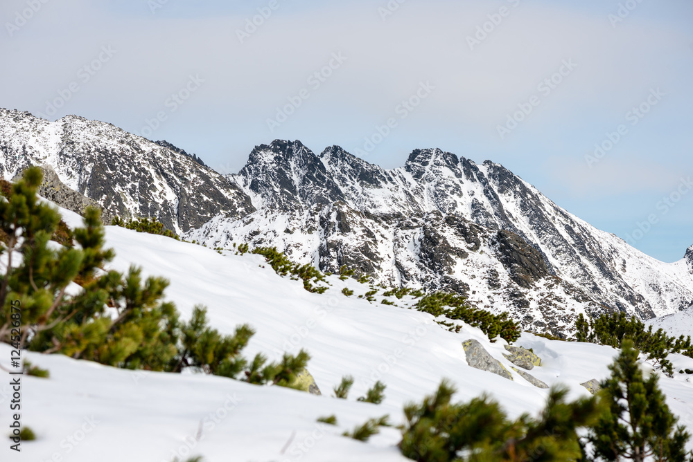 mountain tops in winter covered in snow Stock Photo | Adobe Stock
