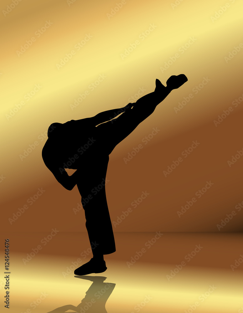 Karate kick. Vector illustration Stock Vector | Adobe Stock