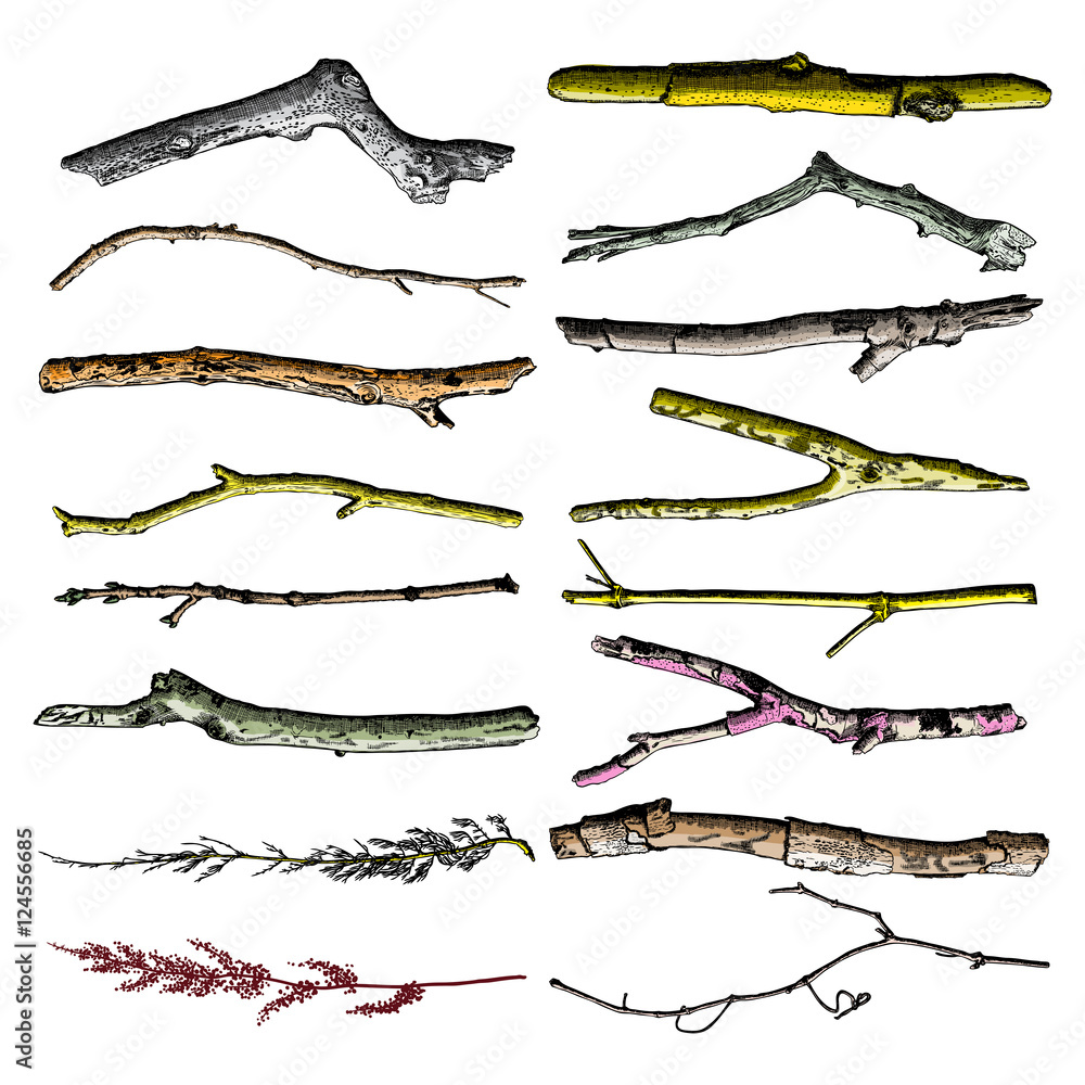 Hand painted wood twig set, ink rustic design elements collection. Dry ...