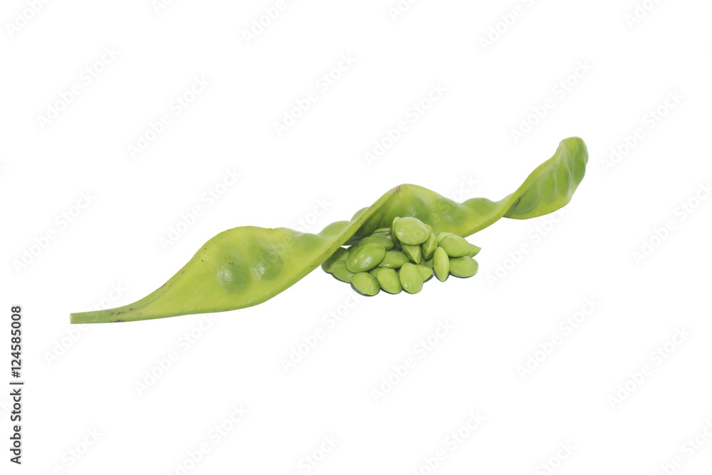 Bitter bean, Twisted cluster bean ( Parkia speciosa) thai vegeta Stock ...