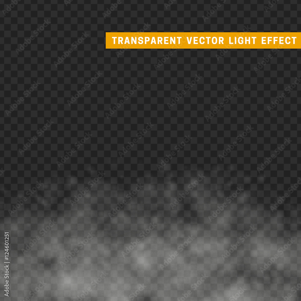 Fog or smoke isolated transparent special effect. The steam effect ...