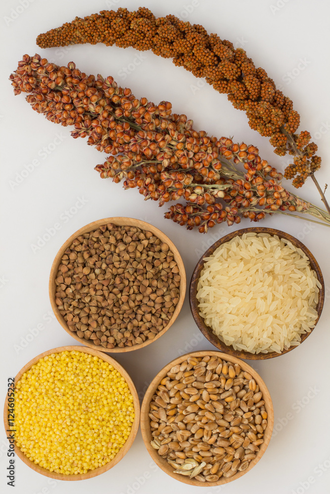 Twig red millet and sorghum, grain buckwheat, millet, rice, whea Stock ...