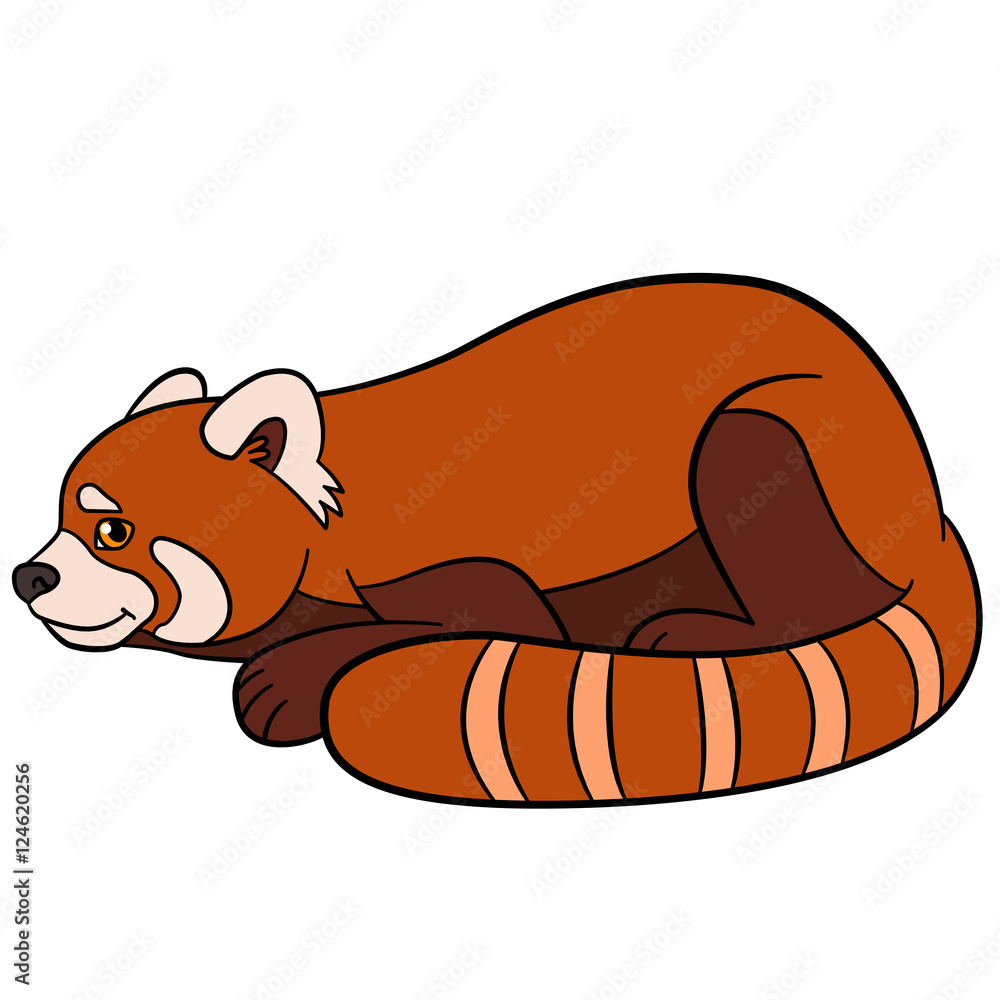 Cartoon wild animals. Little cute red panda. Stock Vector | Adobe Stock