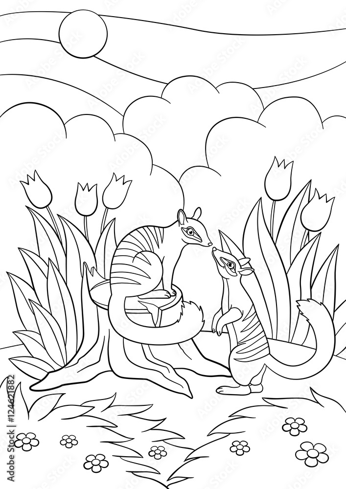 Coloring Numbat Pages Uluru Wombat Australia Drawing Rock Ayers ...