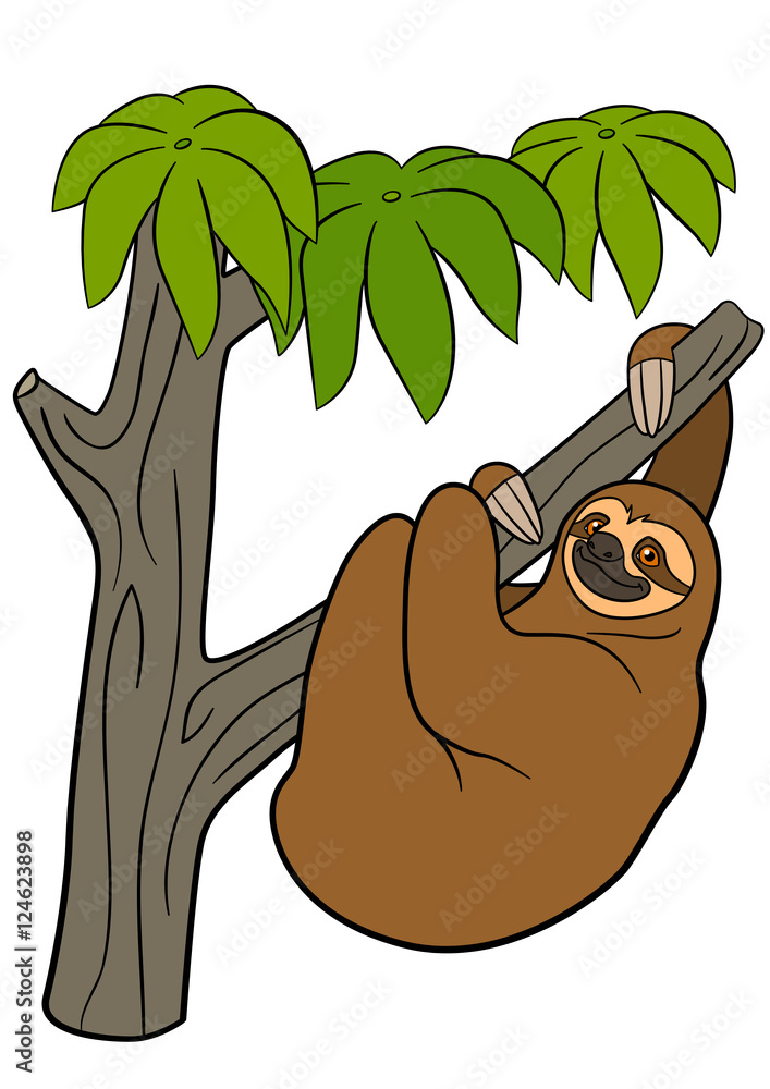 Cartoon animals. Cute lazy sloth hangs on the tree. Stock Vector ...