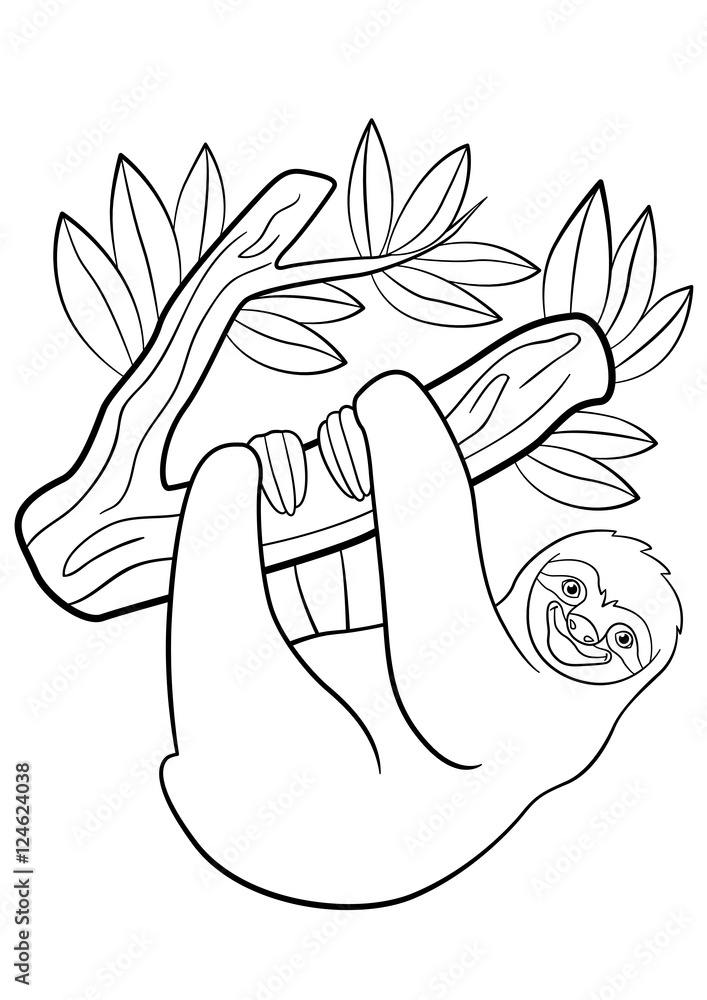 Coloring pages. Cute lazy sloth hangs on the tree. Stock Vector | Adobe ...