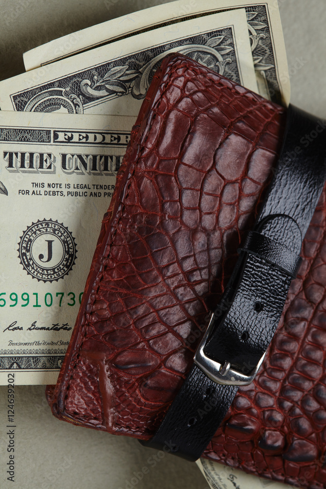 wallet with money Stock Photo | Adobe Stock