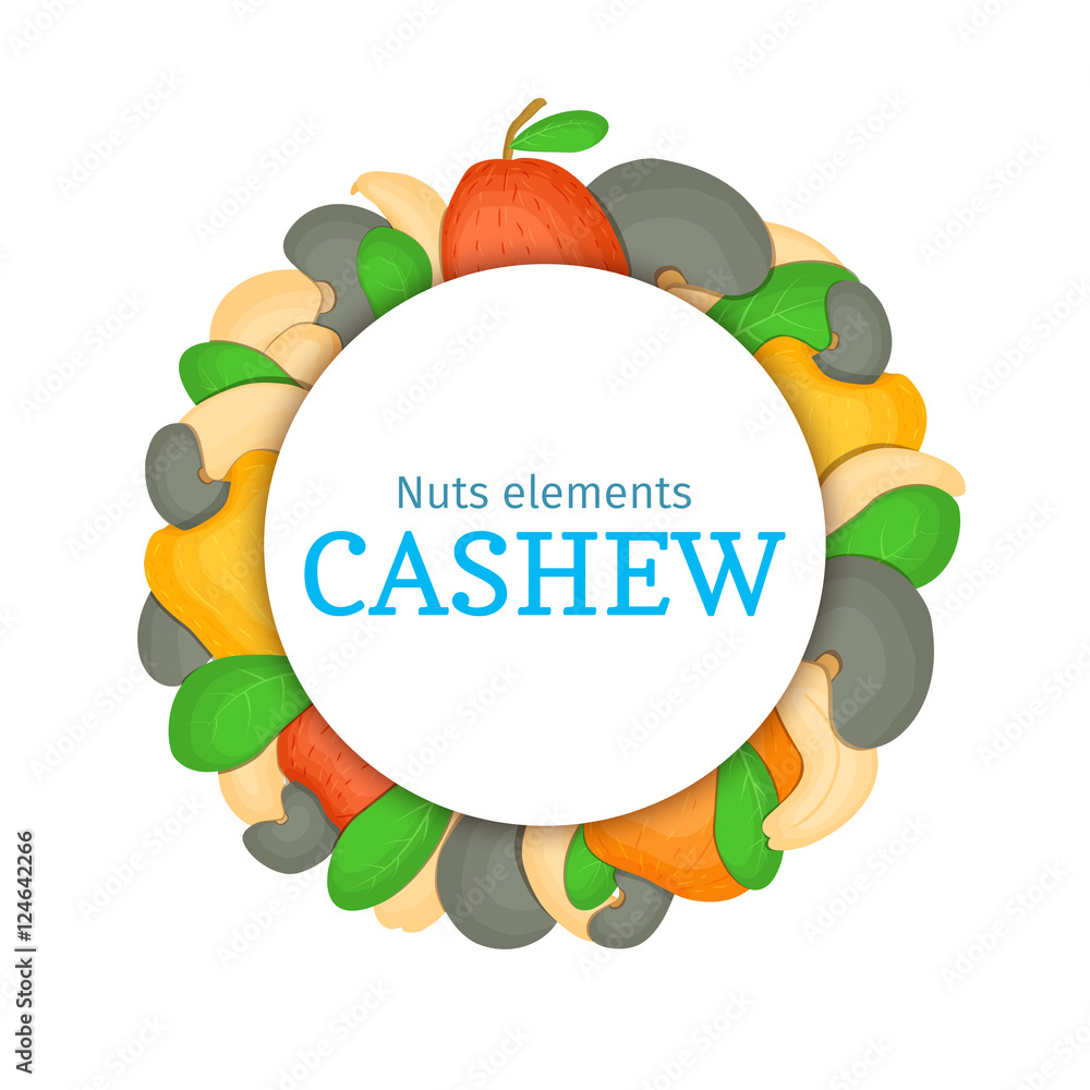 Cashew Nut Vector