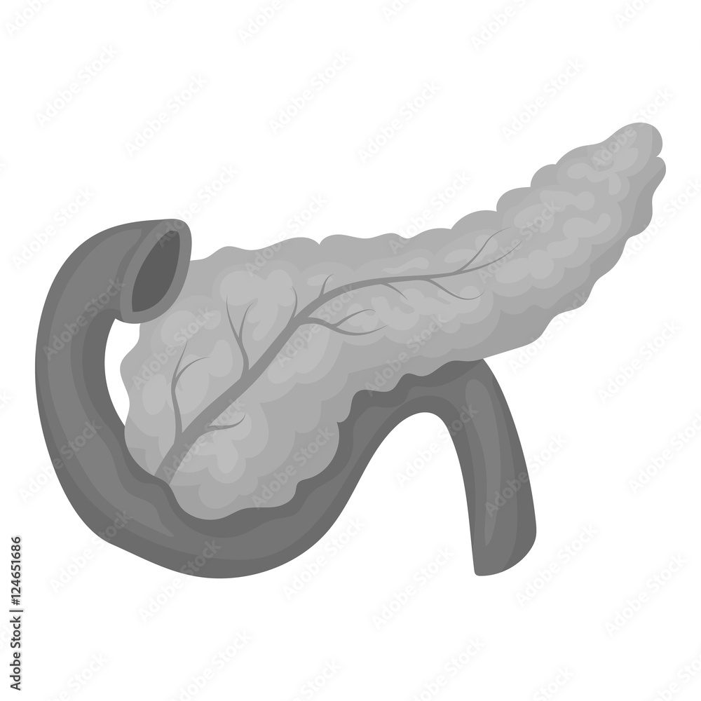 Pancreas icon in monochrome style isolated on white background. Organs ...