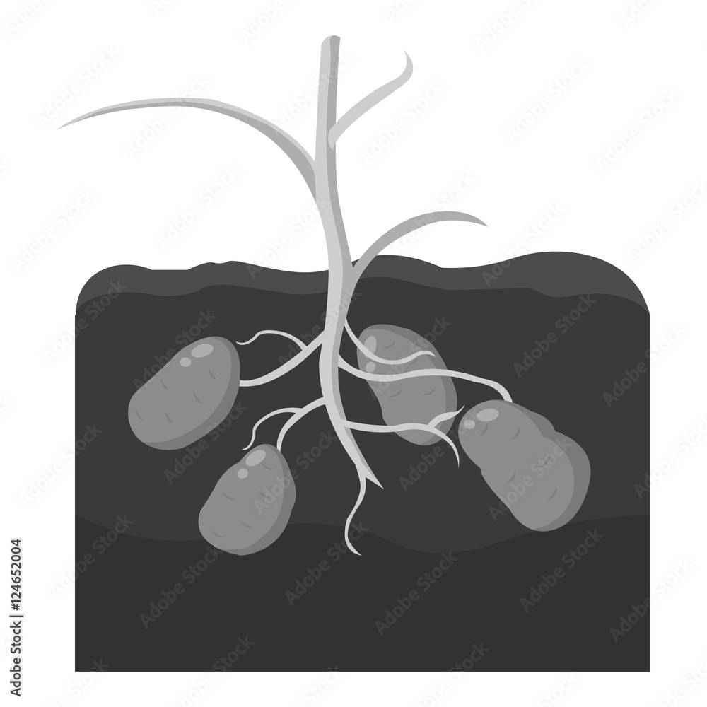 Potato icon monochrome. Single plant icon from the big farm, garden ...