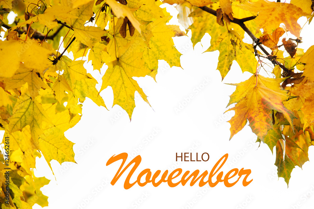 Hello November wallpaper with autumn leaves frame isolated on white ...