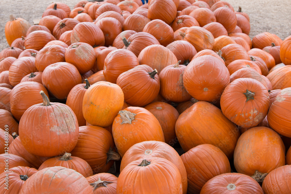 Pile of pumpkins stacked up on the ground Stock Photo | Adobe Stock
