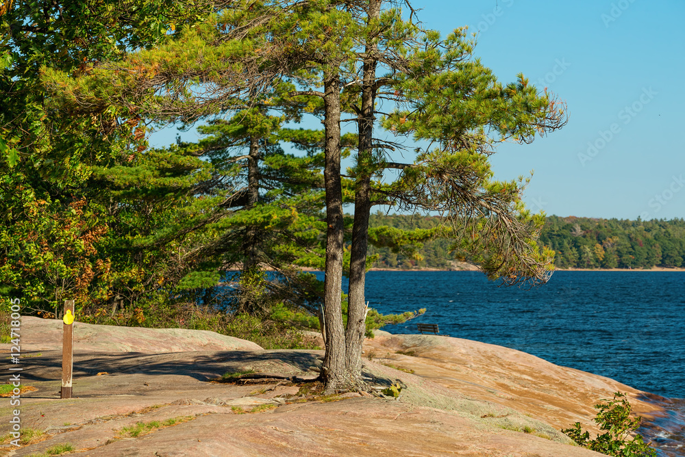 Killbear provincial park Stock Photo | Adobe Stock
