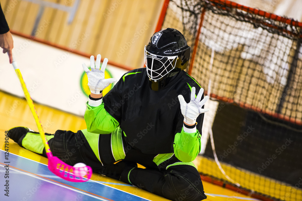 Floorball Goalie Stock-Foto | Adobe Stock