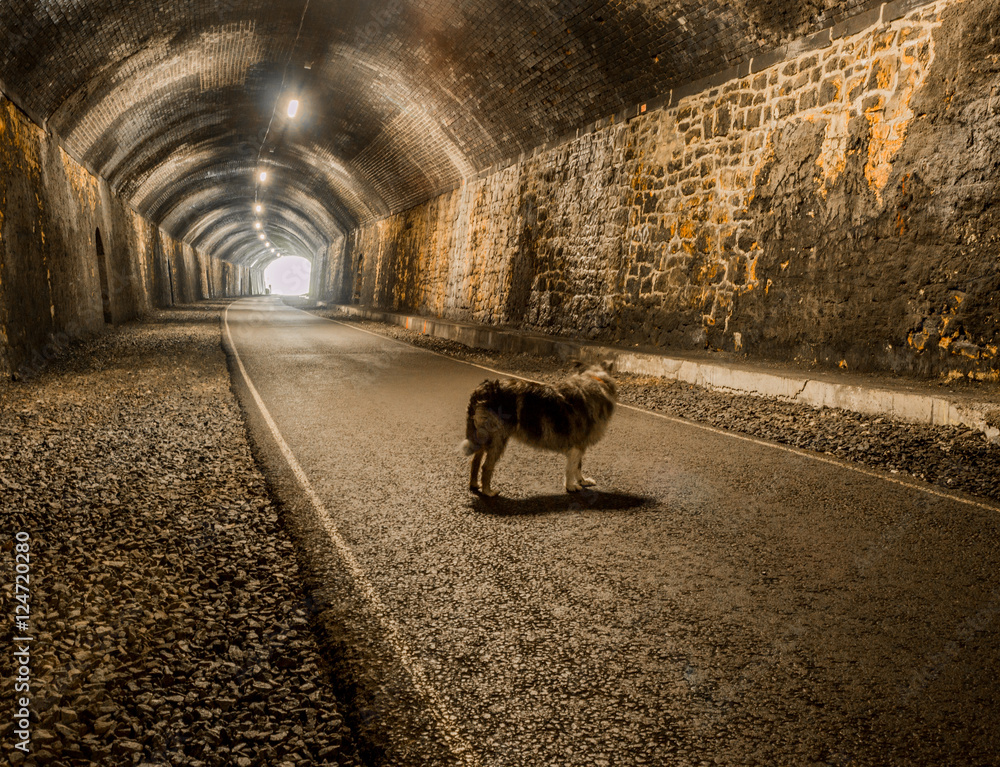Inside one of the old railway tunnels on the Monsal trail, Peak ...