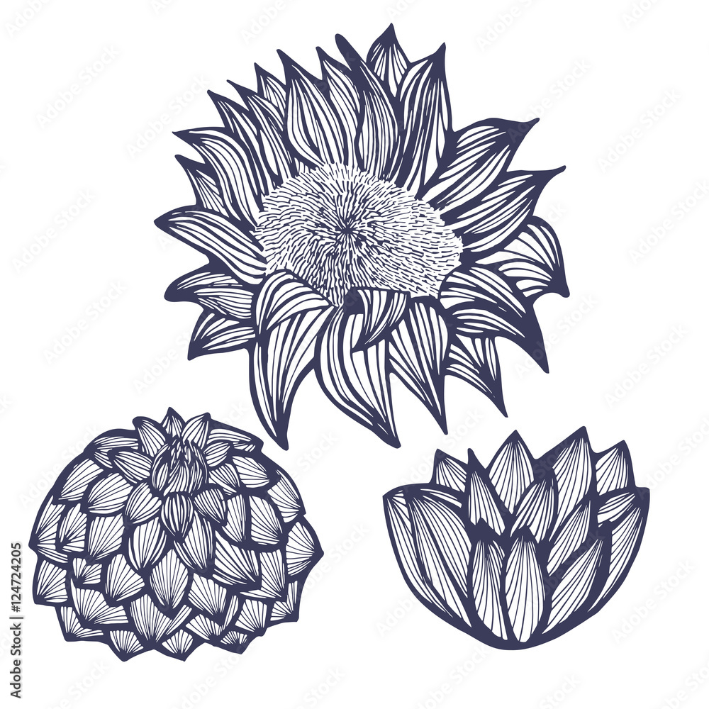 decorative flower icon collection, hand-drawing vector illustration ...