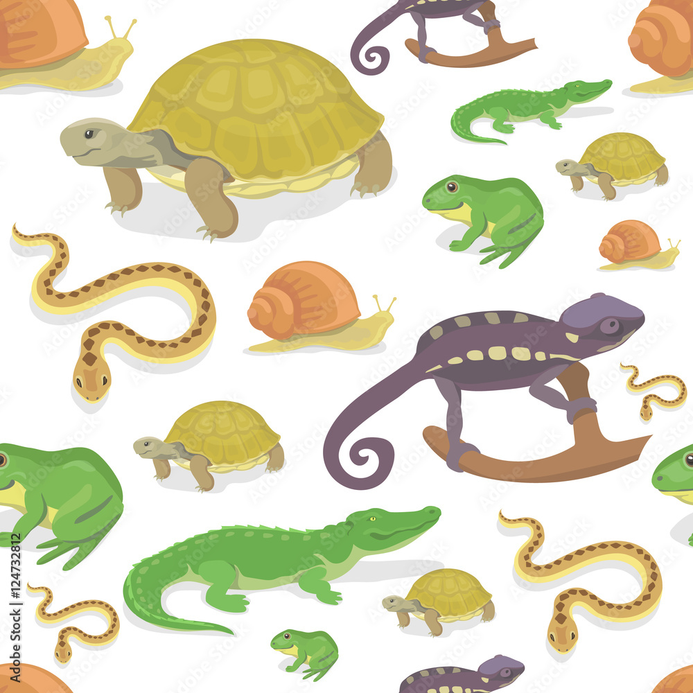 Reptile and amphibian seamless pattern on white background. Crocodile ...
