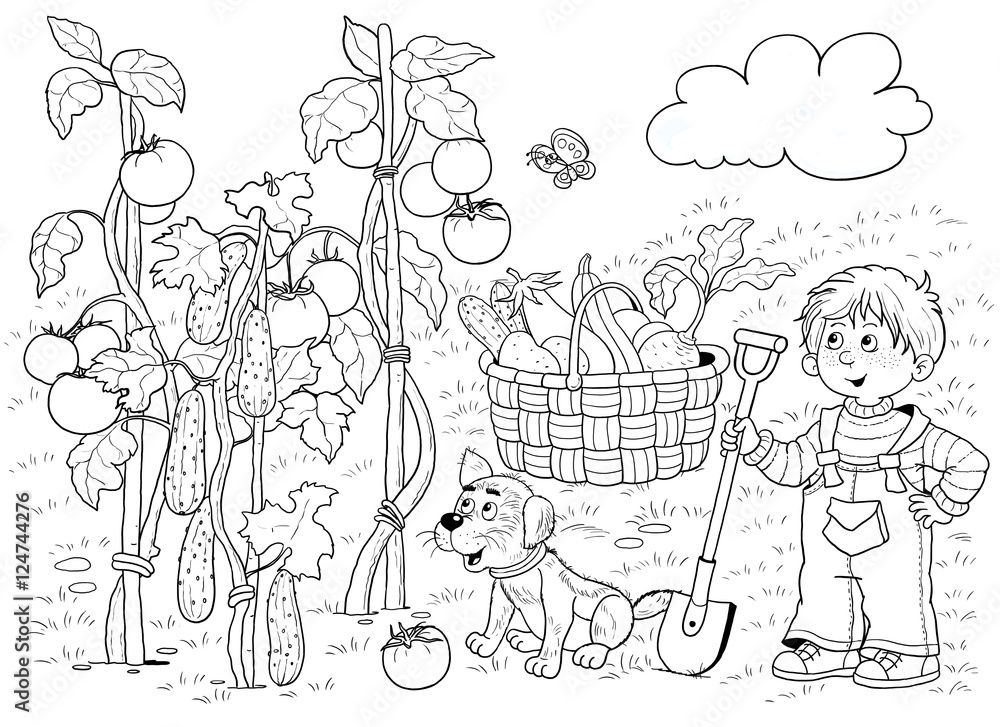 Coloring Pages Of Vegetable Gardens