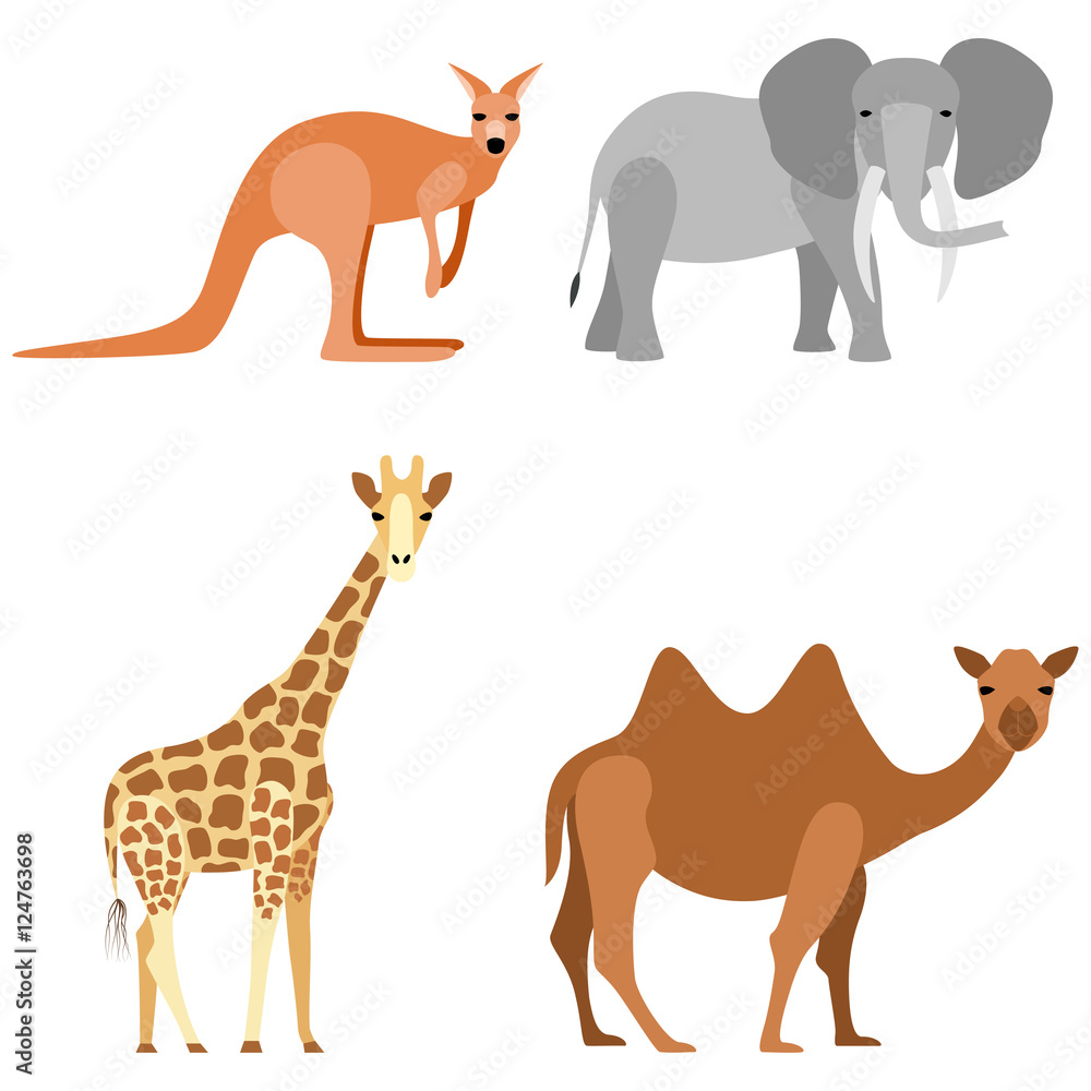 Set of animals: elephant, camel, giraffe, kangaroo Stock Vector | Adobe ...