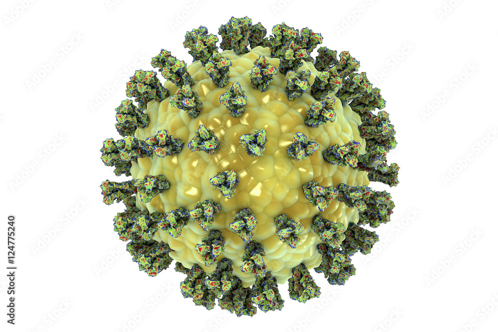 Parainfluenza virus isolated on white background, 3D illustration. Common cold virus ...