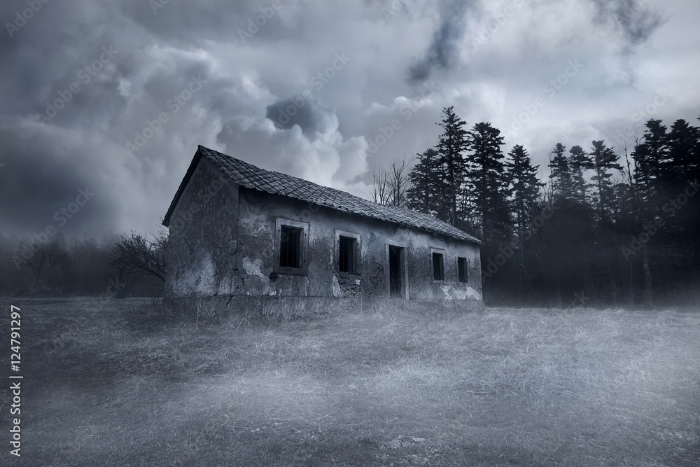 Abandoned Horror House in the Misty Forest Stock Photo | Adobe Stock