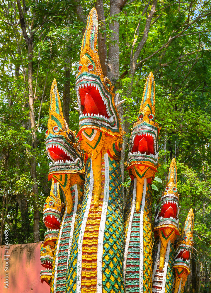 Seven Headed Cobra In Honduras