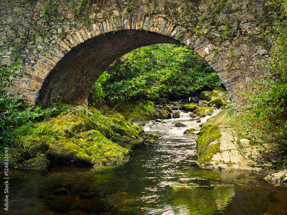 Stonebridge In Forest