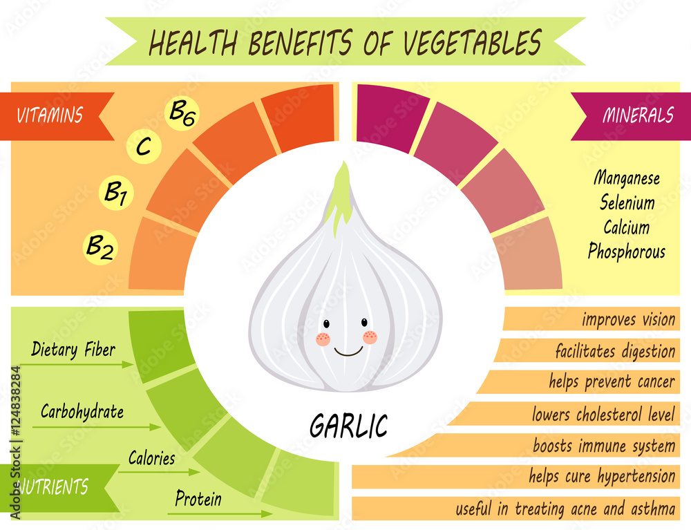 Garlic Diagram