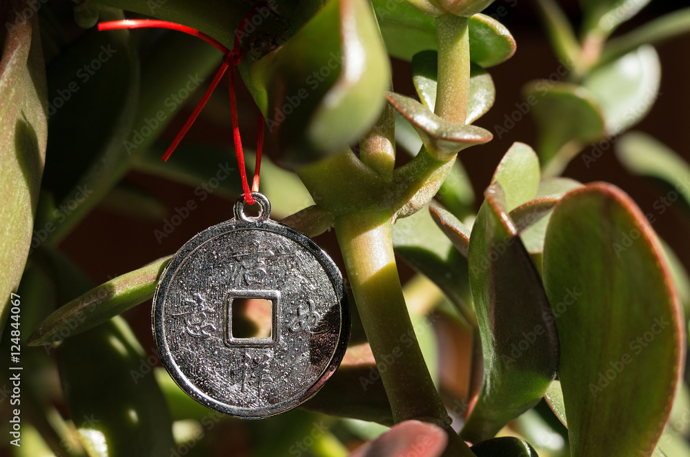 Happy chinese coin hanging on a Money Tree as a symbol of wealth growth ...