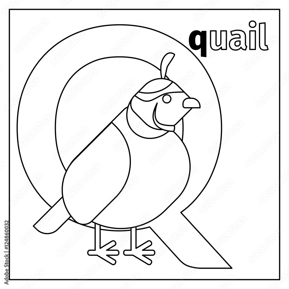 Coloring page or card for kids with English animals zoo alphabet. Quail ...