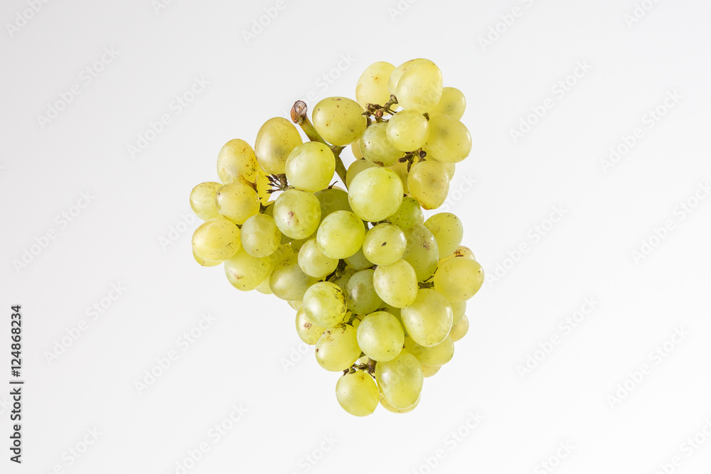 Helle Weintrauben vor hellgrauem Hintergund Stock Photo | Adobe Stock