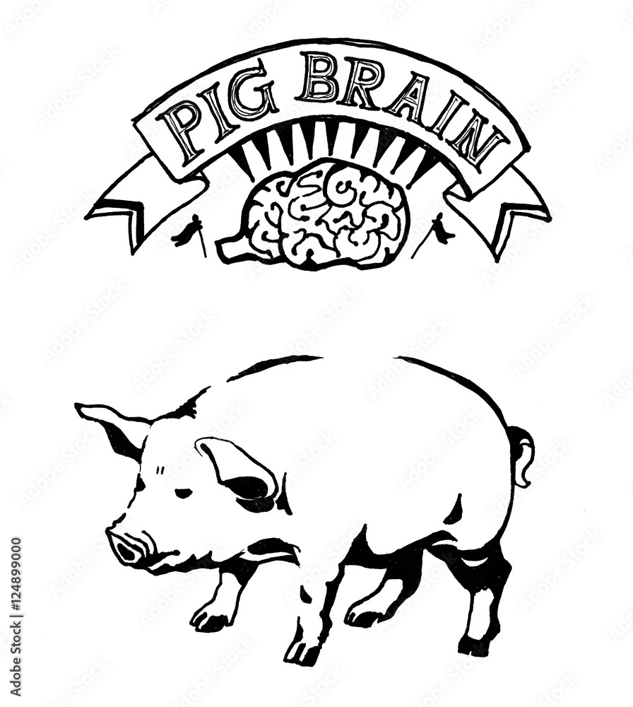 Pig brain hand drawn illustration. Art and conceptual metaphor Stock ...