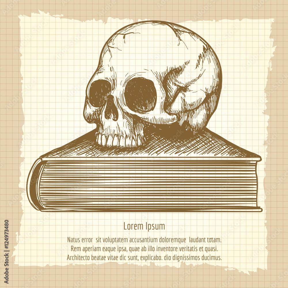 Sketch of human skull on book vector. Esoteric concept on vintage ...