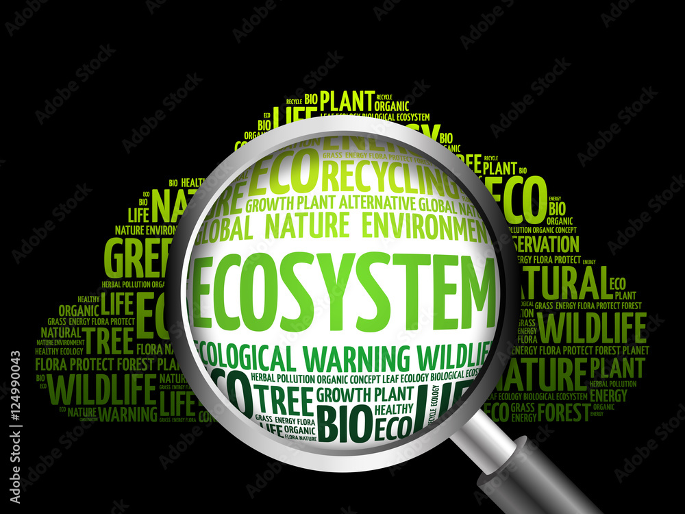Ecosystem word cloud with magnifying glass, ecology concept Stock ...