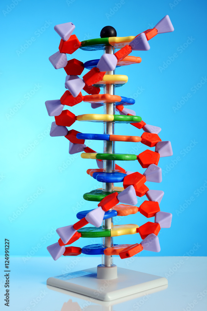 Modell einer DNA Doppelhelix für Genetik oder Gentechnik Stock Photo ...