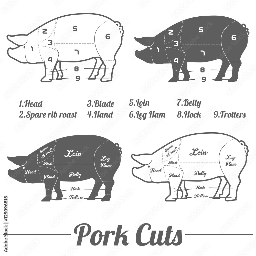 Pork meat cuts, butcher pork infographic set of meat parts, vector ...
