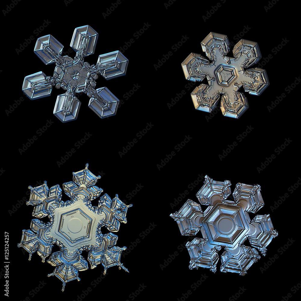 Set with four snowflakes isolated on black background. This is macro ...