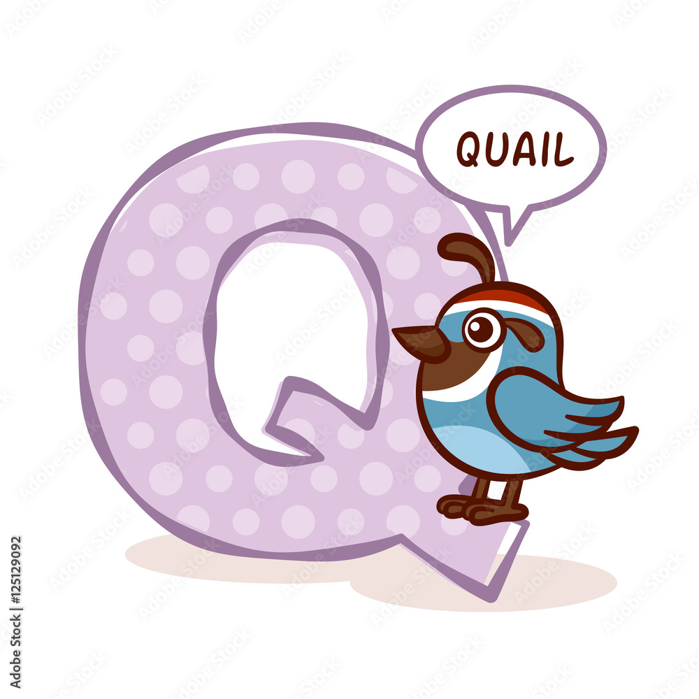 Q Is For Quail