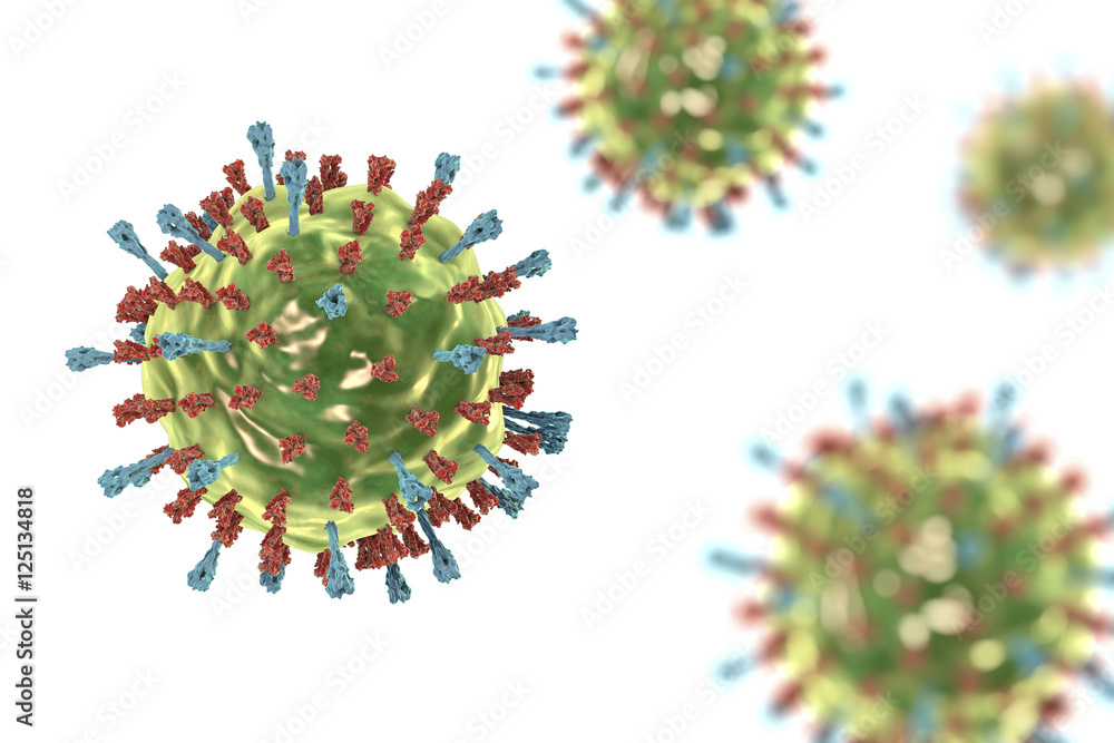 Mumps virus. 3D illustration showing structure of mumps virus with ...