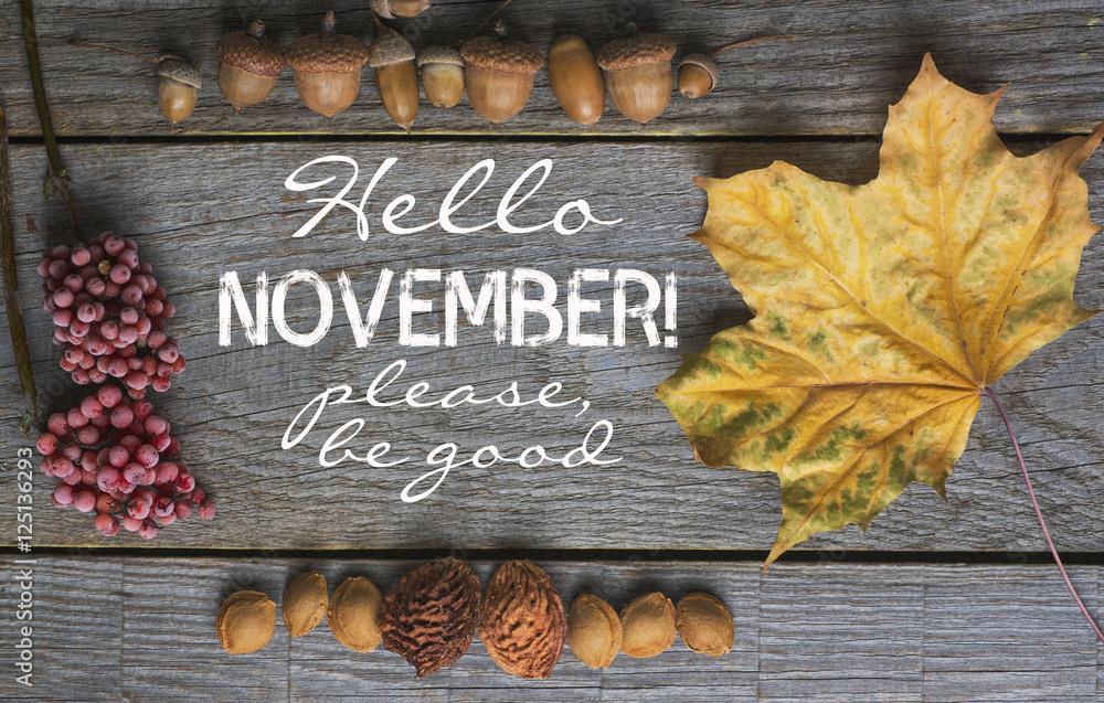 Hello November Please Good Me