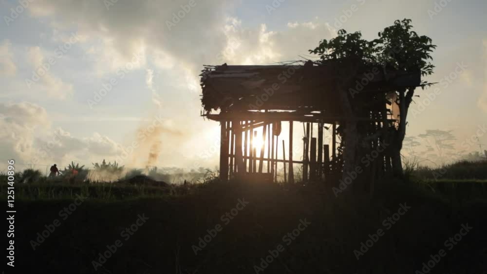 Vidéo Stock Sun silhouette of farmer’s shack in stubble burning rice ...