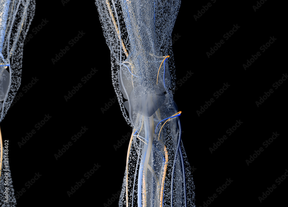 Human anatomy knee joint covered in network of dots. Bio-tech skin ...