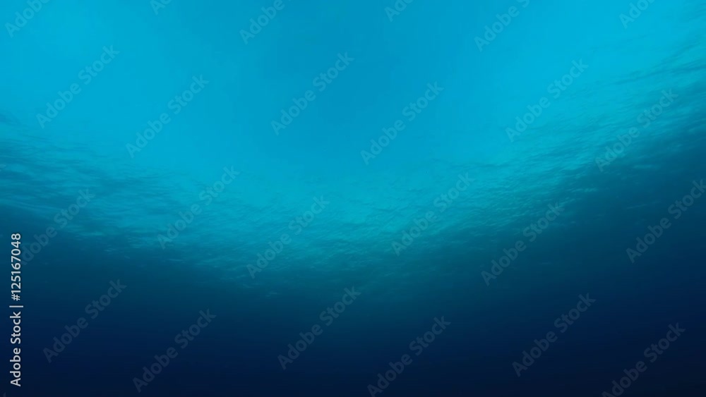 Video of the ocean surface from below showing the sunlight and water ...